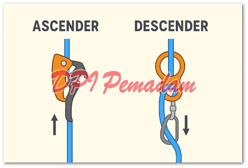 Perbedaan Ascender dan Descender dalam Sistem Rope Rescue – DPI Pemadam